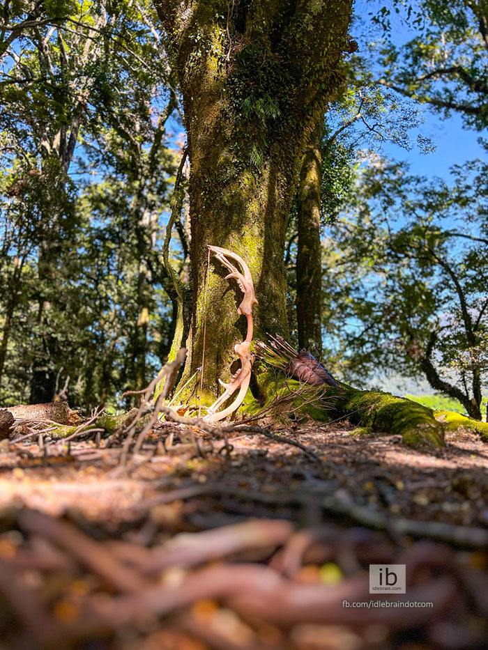 Vishnu Manchu's Epic Actioner 'Kannappa' Showcases the Legendary Bow of ...