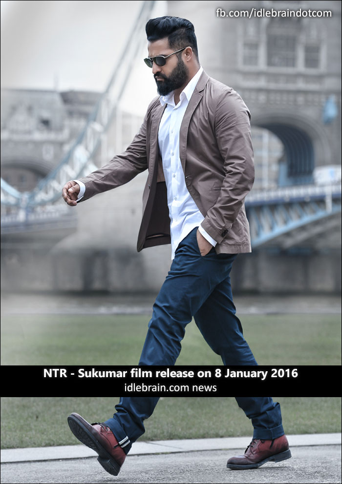 NTR - Sukumar film release on 8 January 2016 - Telugu cinema news