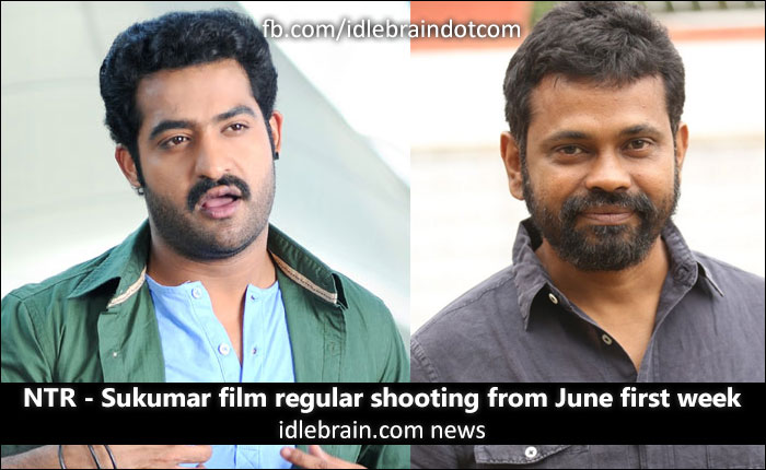 NTR - Sukumar film regular shooting from June first week - Telugu ...