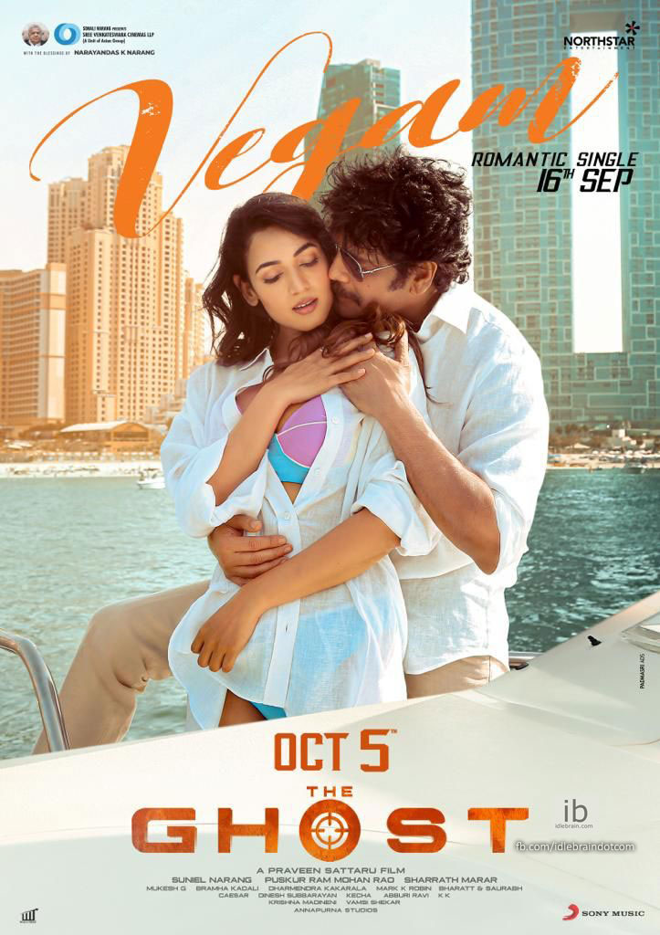 First Single Vegam From King Nagarjuna, Praveen Sattaru, Sree ...