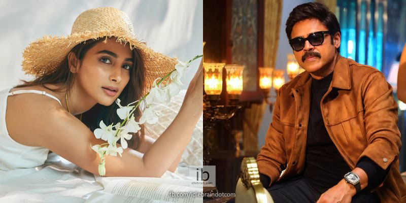 Venkatesh playing Pooja Hegde's brother? - idlebrain.com