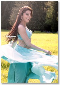 Pranitha Subhash photo gallery - Telugu cinema actress