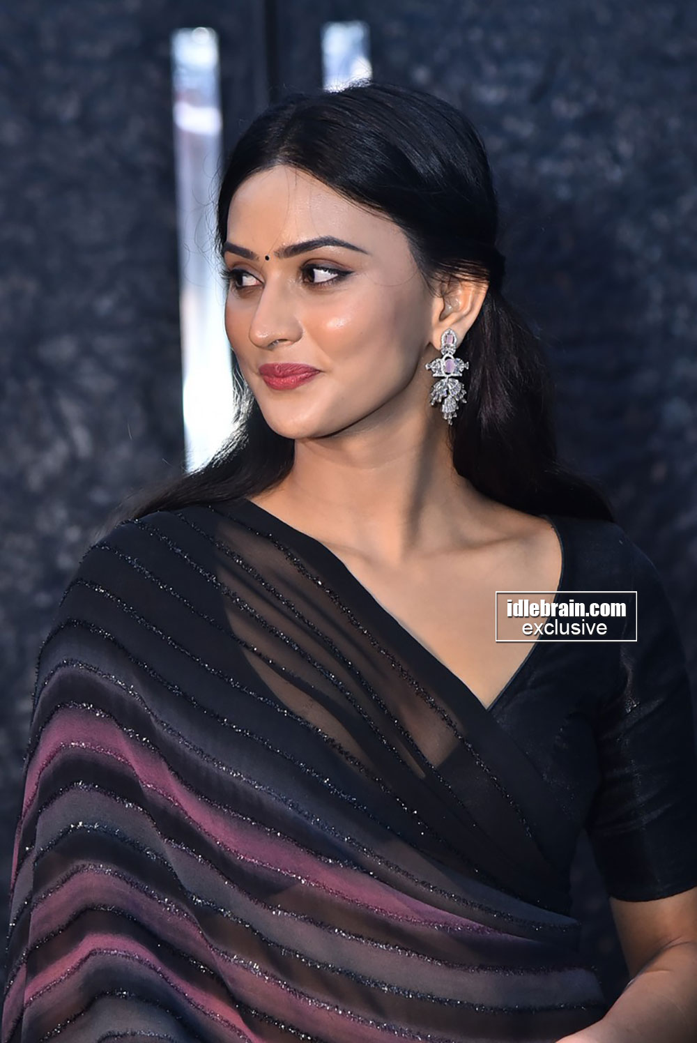 Sanchi Rai photo gallery - Telugu cinema actress