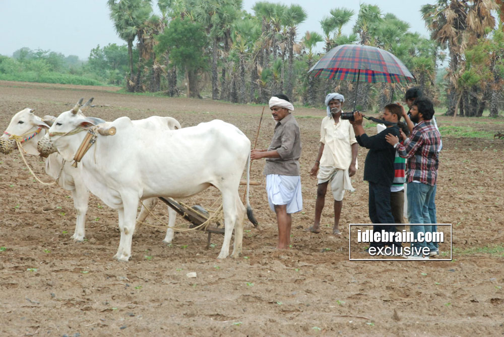 Yugmali Working Stills photo gallery - Telugu cinema - Jogi Naidu, Kota ...