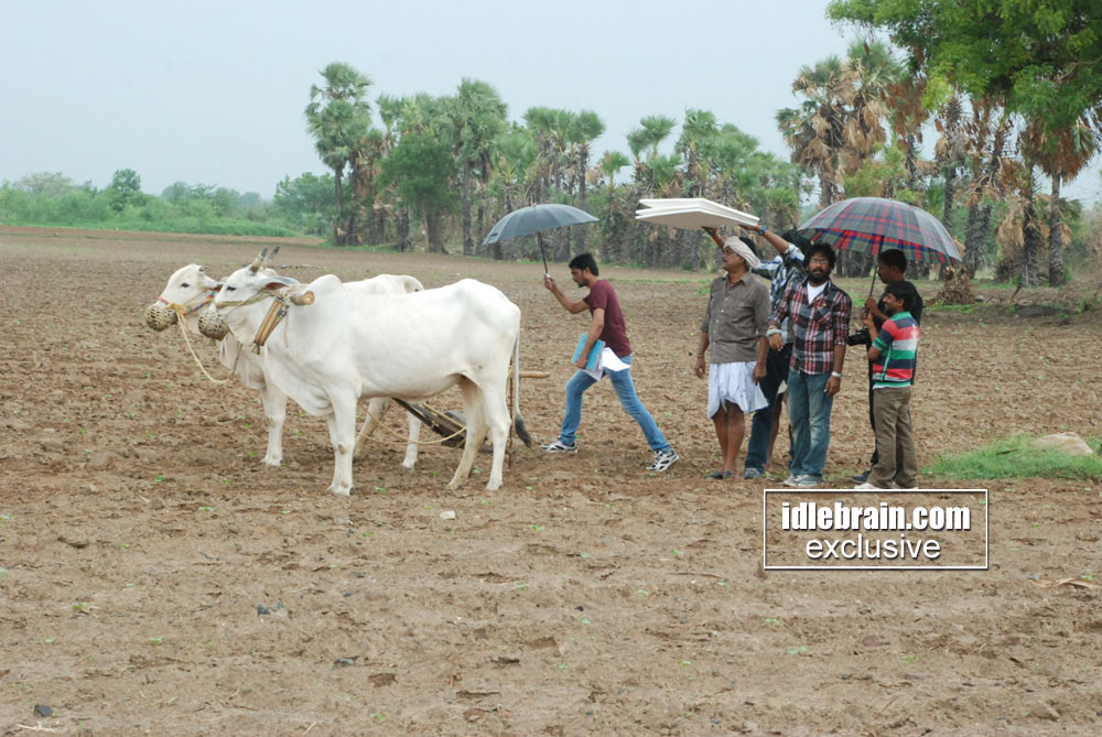Yugmali Working Stills photo gallery - Telugu cinema - Jogi Naidu, Kota ...