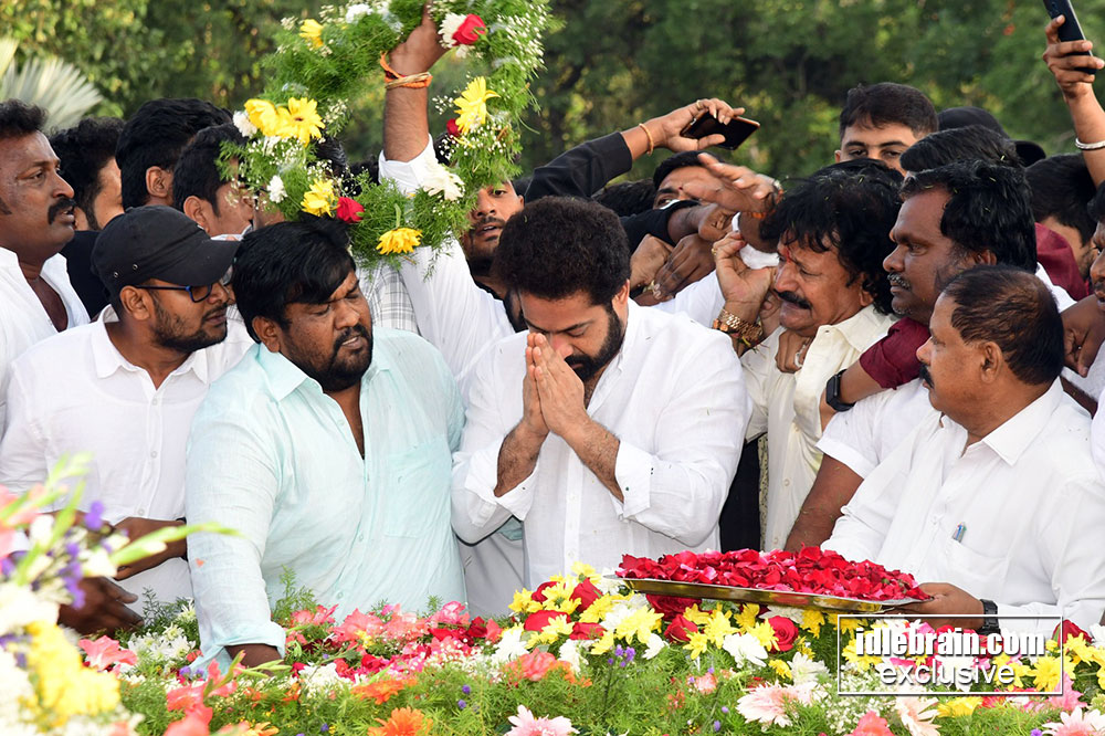 Ntr Visits Ntr Ghat On Ntrs 100th Birth Anniversary